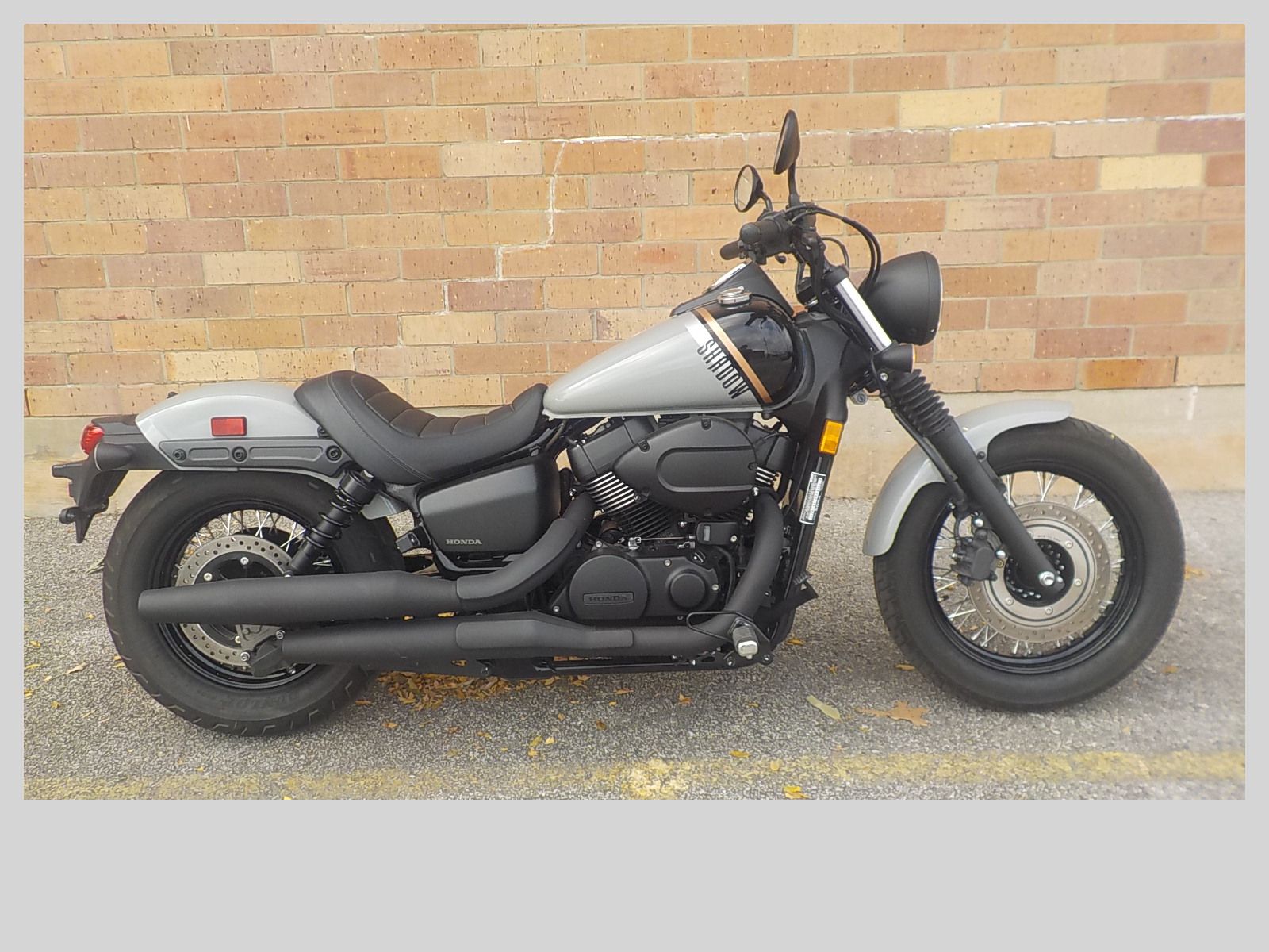 Used 2024 Honda Shadow Phantom Motorcycles in San Antonio, TX | Stock ...