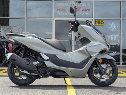 New 2025 Honda PCX | Scooters in Winchester TN | 061125-1 Pearl Gray