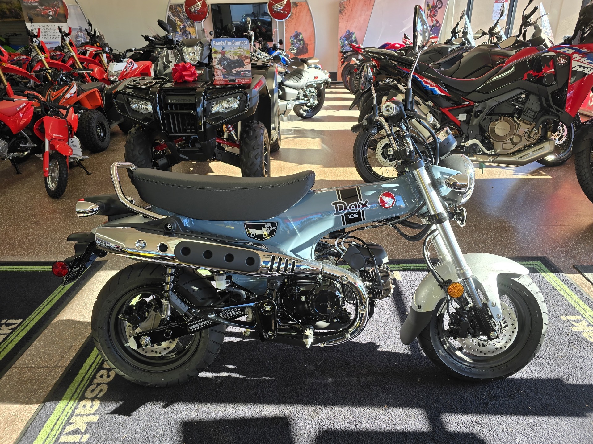 New 2025 Honda Dax 125, Woonsocket RI | Specs, Price, Photos | Pearl ...