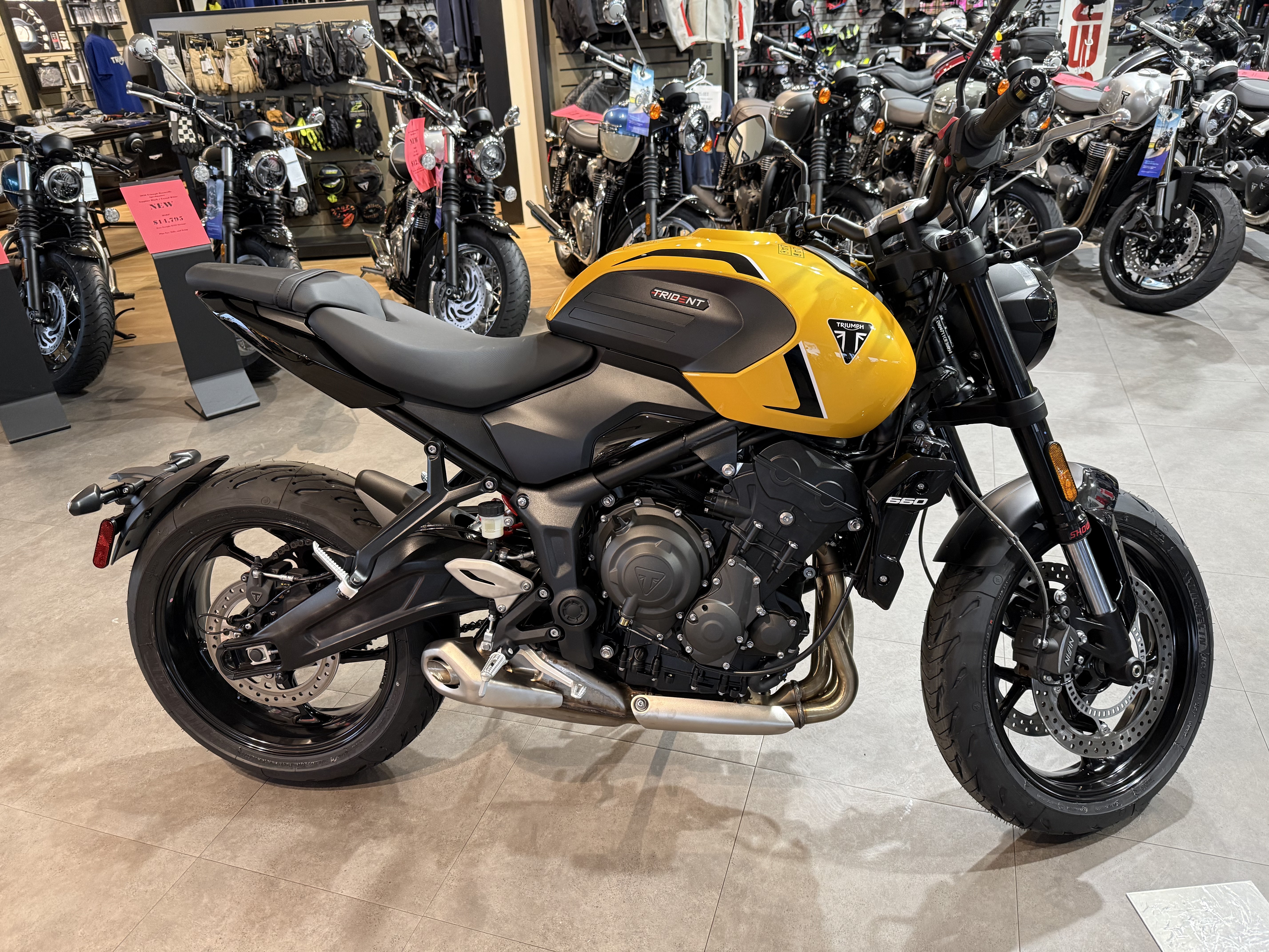 2026 Triumph Trident 660 Motorcycles Belle Plaine Minnesota