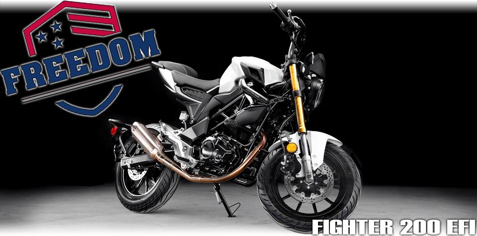 New 2024 Freedom Fighter 200 Pearl White FRE053095 | Motorcycles in ...
