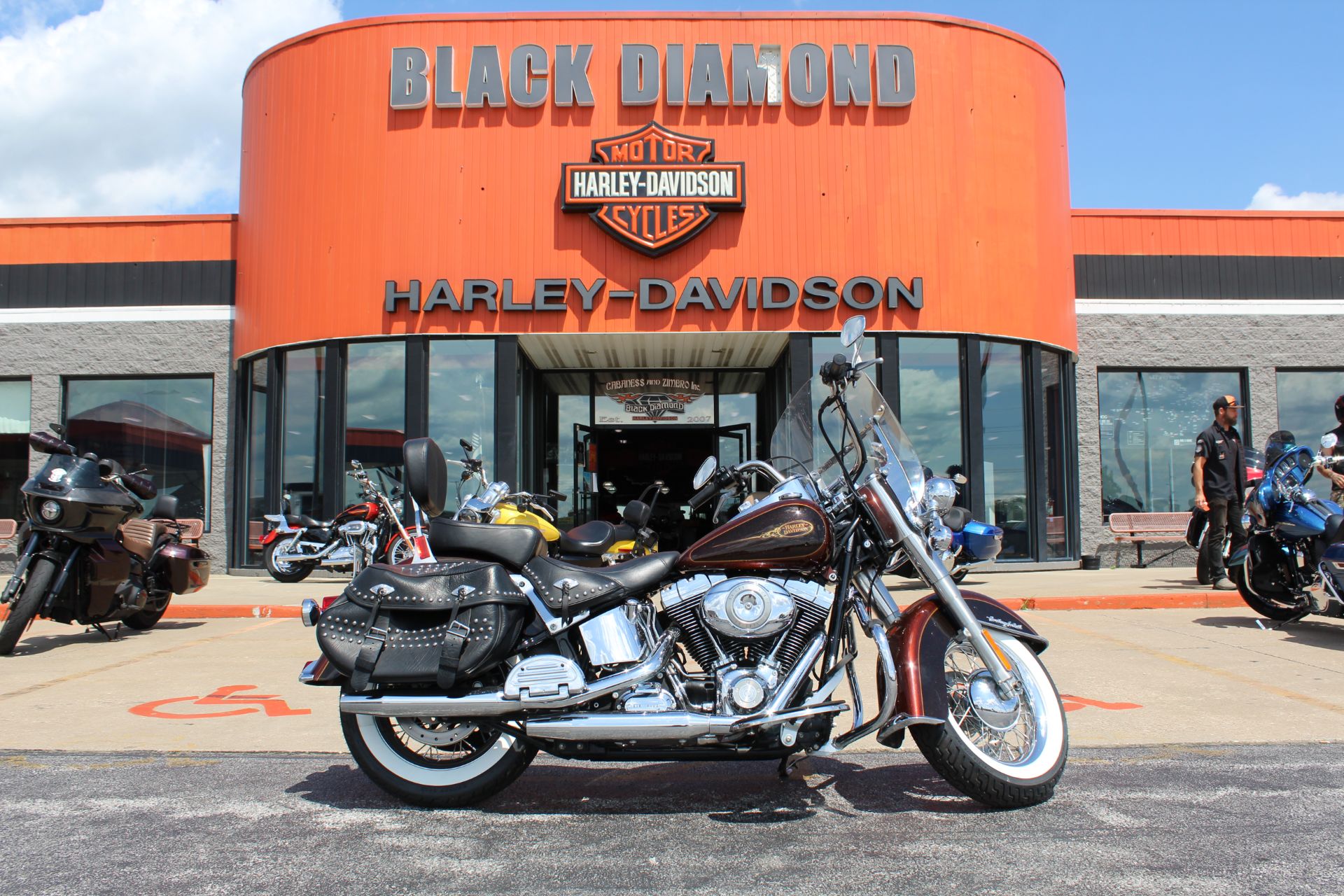 Used 2009 Harley-Davidson Heritage Softail® Classic Root beer ...
