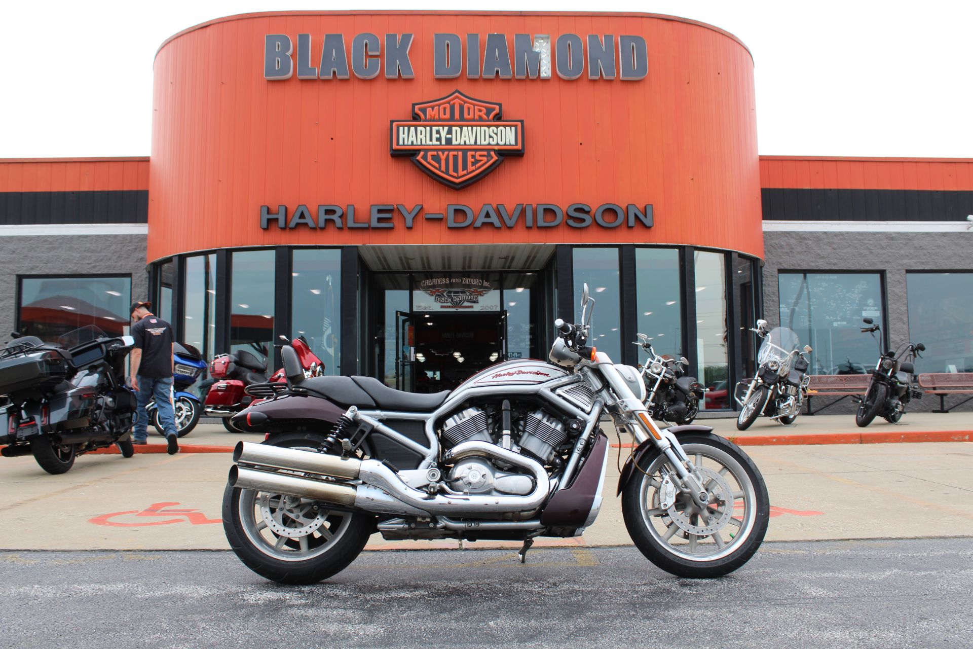 Used 2006 Harley-Davidson Street Rod™ Vivid Black | Motorcycles in ...