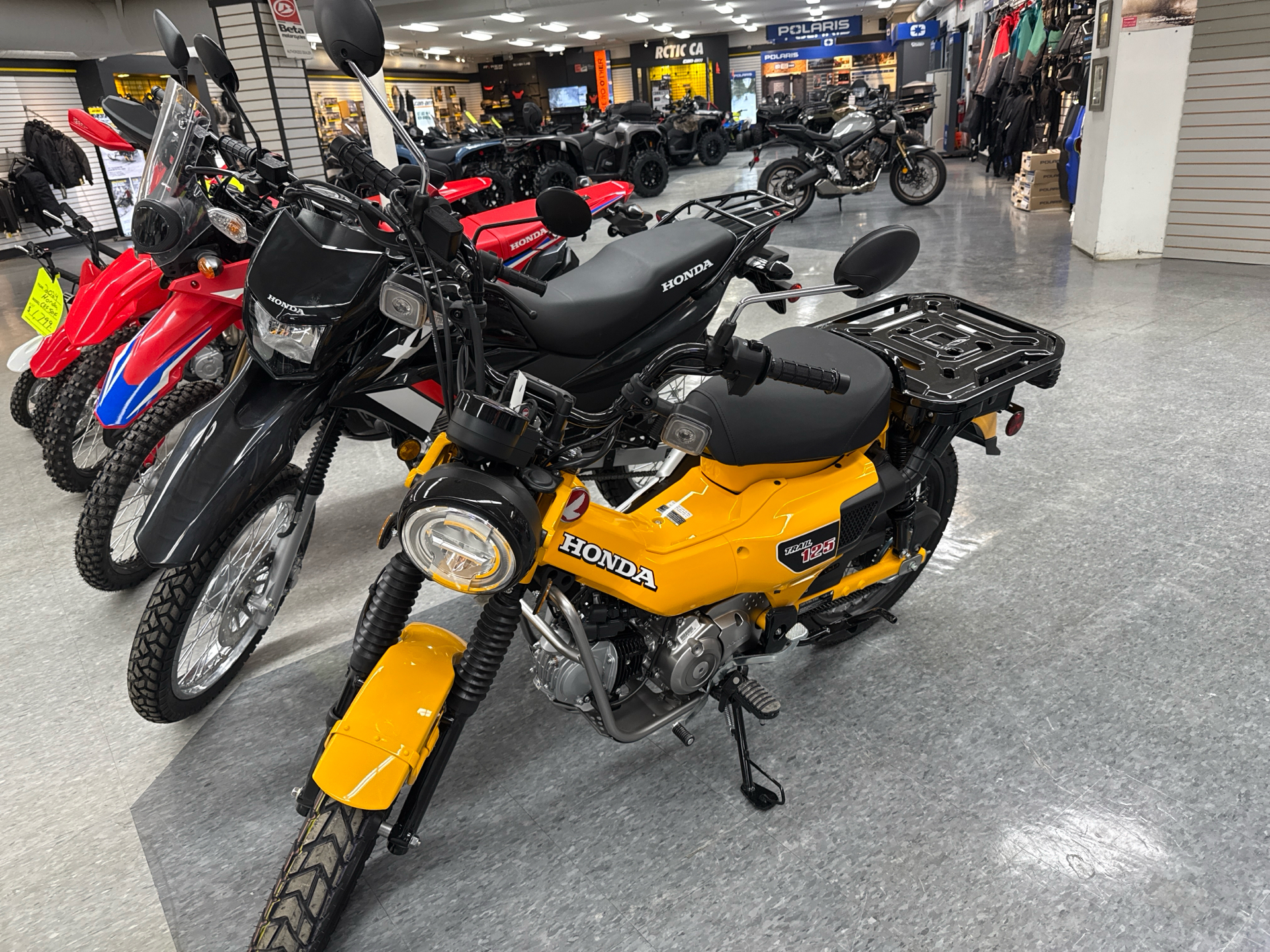 2024 Honda Trail125, Rutland VT | New Motorcycles for Sale: Specs ...