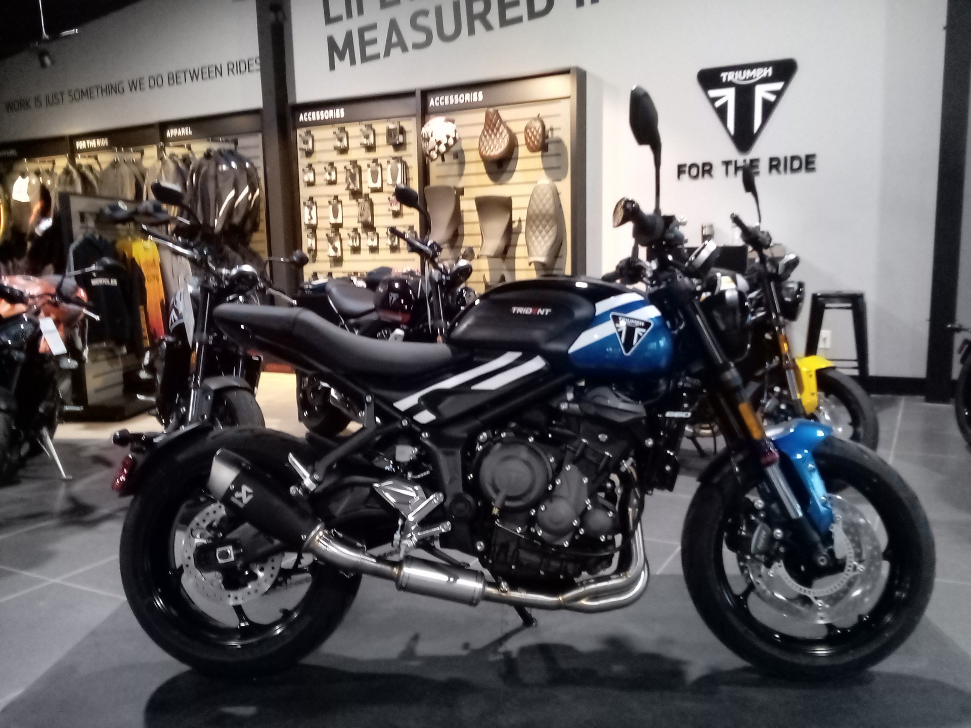 New 2025 Triumph Trident 660 Cobalt Blue / Sapphire Black Motorcycles ...