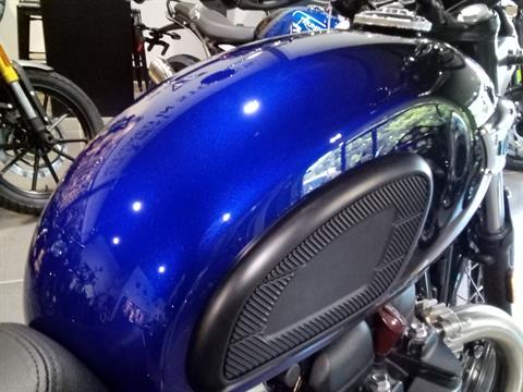 New 2024 Triumph Bonneville T100 Stealth Edition - Sapphire Blue ...