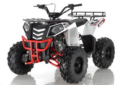 New 2024 Apollo Commander 125 ATVs in Forty Fort, PA | Stock Number: N/A