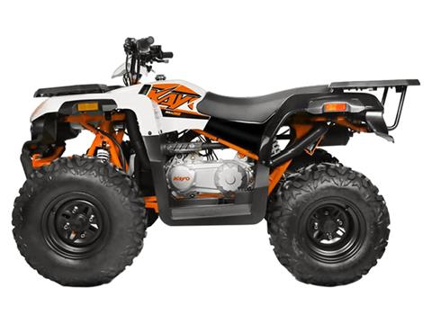 New 2026 Kayo Bull 180 | ATVs in Wilkes Barre PA | White