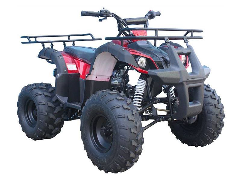 New 2024 Tao Motor TForce 125 Red ATVs For Sale in Savannah, Georgia ...