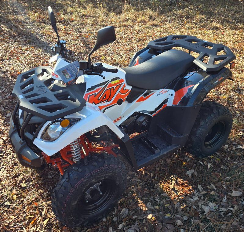 New 2025 Kayo Bull 300 EFI, Lexington SC | Specs, Price, Photos ...