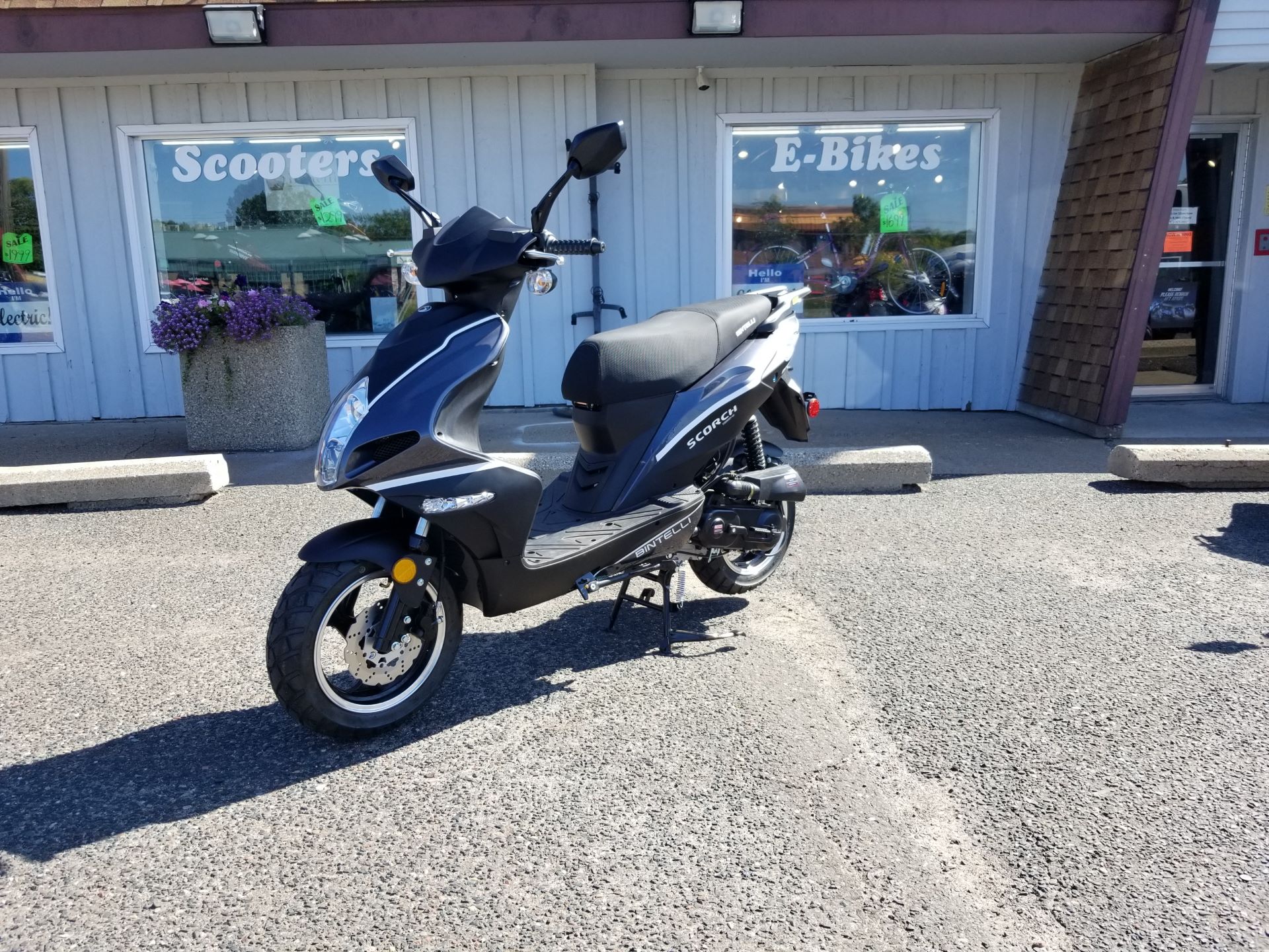 New 2023 YNGF Scorch 49cc Scooter | Scooters in Forest Lake MN | Black