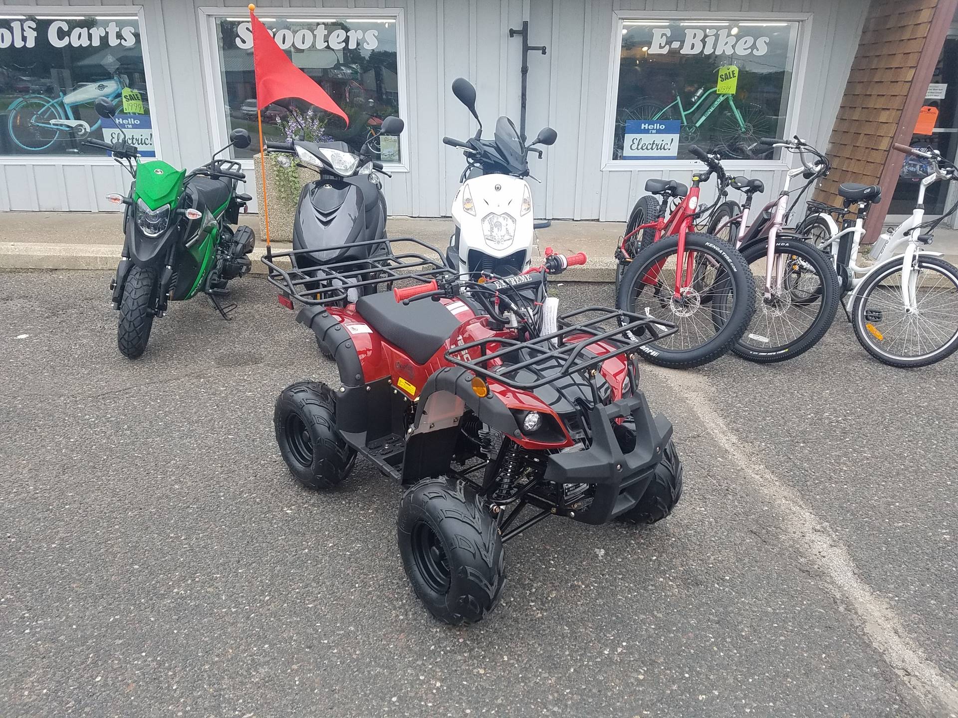 New 2020 Raytech Trooper 125 ATV | ATVs in Forest Lake MN | Burgundy