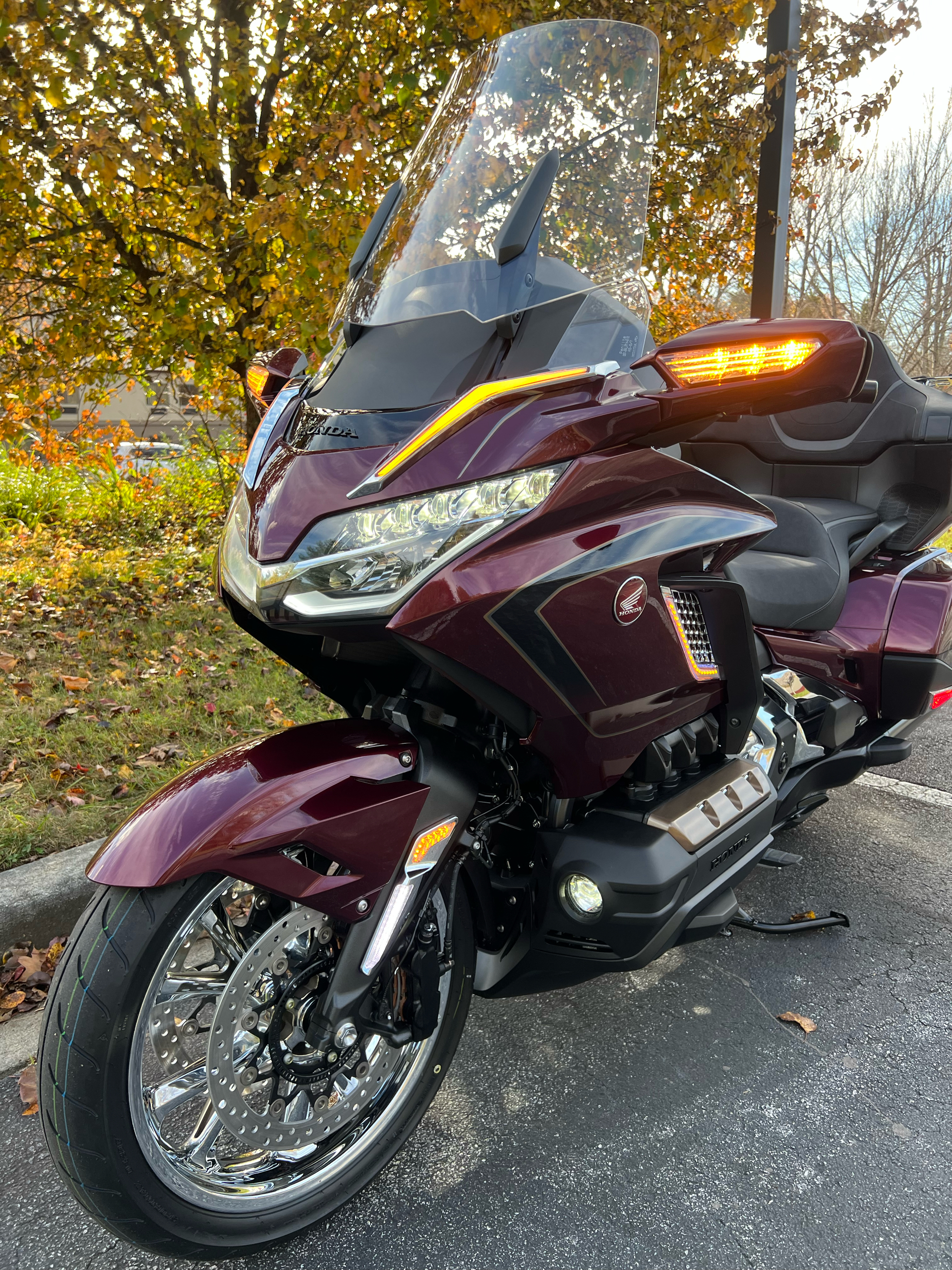 New 2025 Honda Gold Wing Tour DCT 50th Anniversary Motorcycles in ...