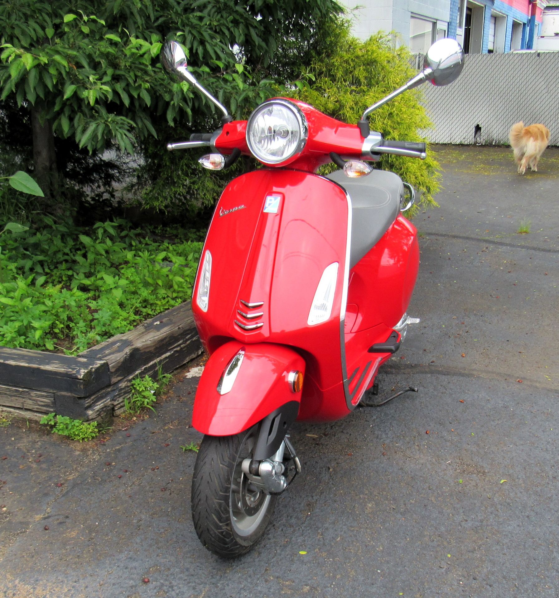 Used 2015 Vespa Primavera 50 Scooters in New Haven, CT | Stock Number ...