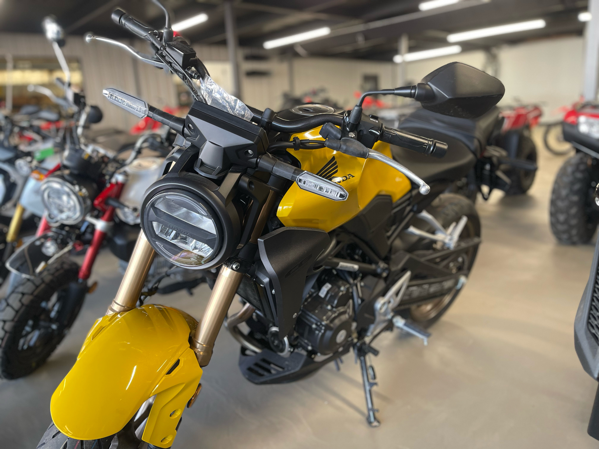 New 2025 Honda CB300R ABS, New Martinsville WV | Specs, Price, Photos ...