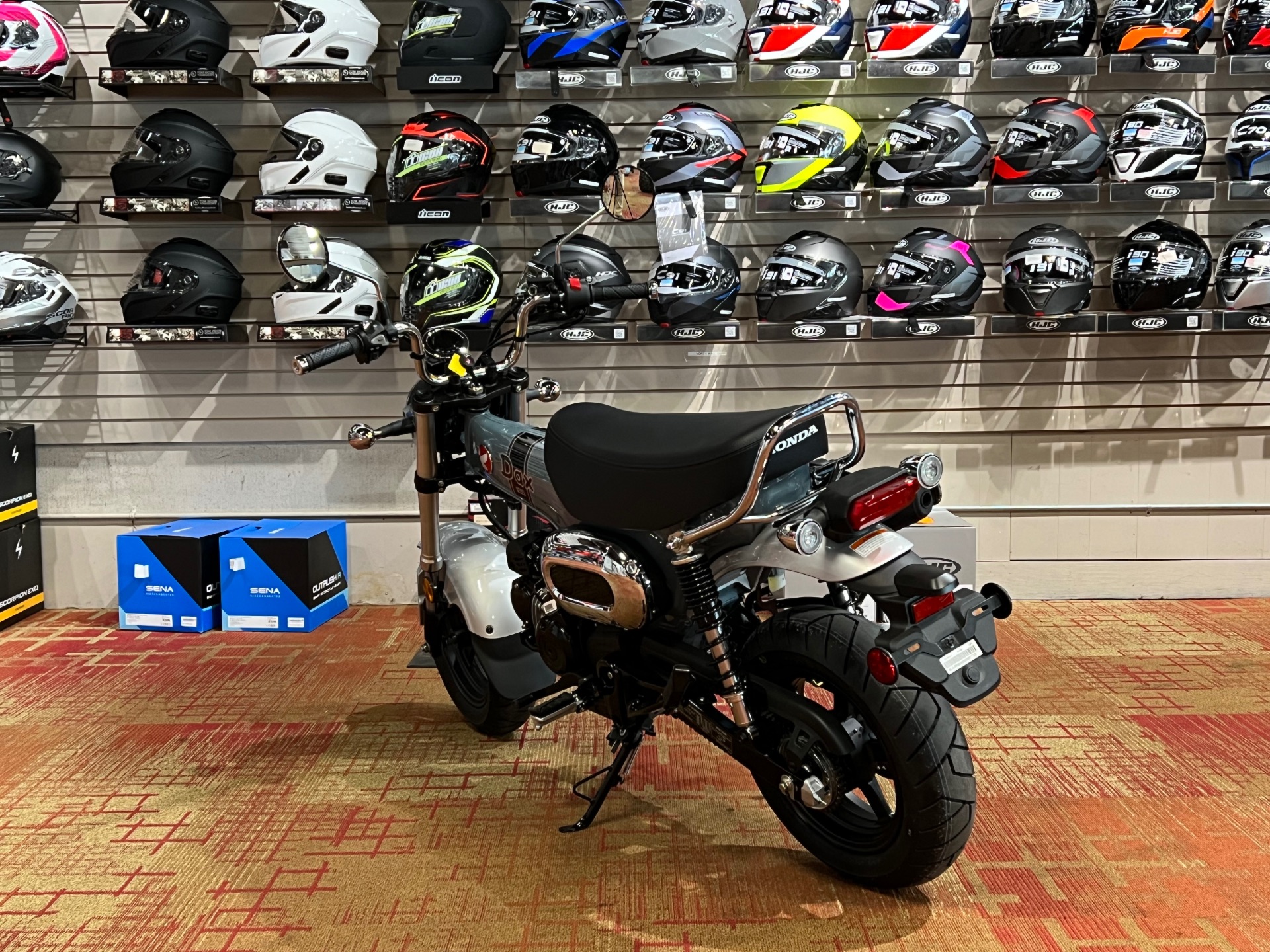 New 2025 Honda Dax 125, Anderson IN | Specs, Price, Photos | Pearl Gray ...