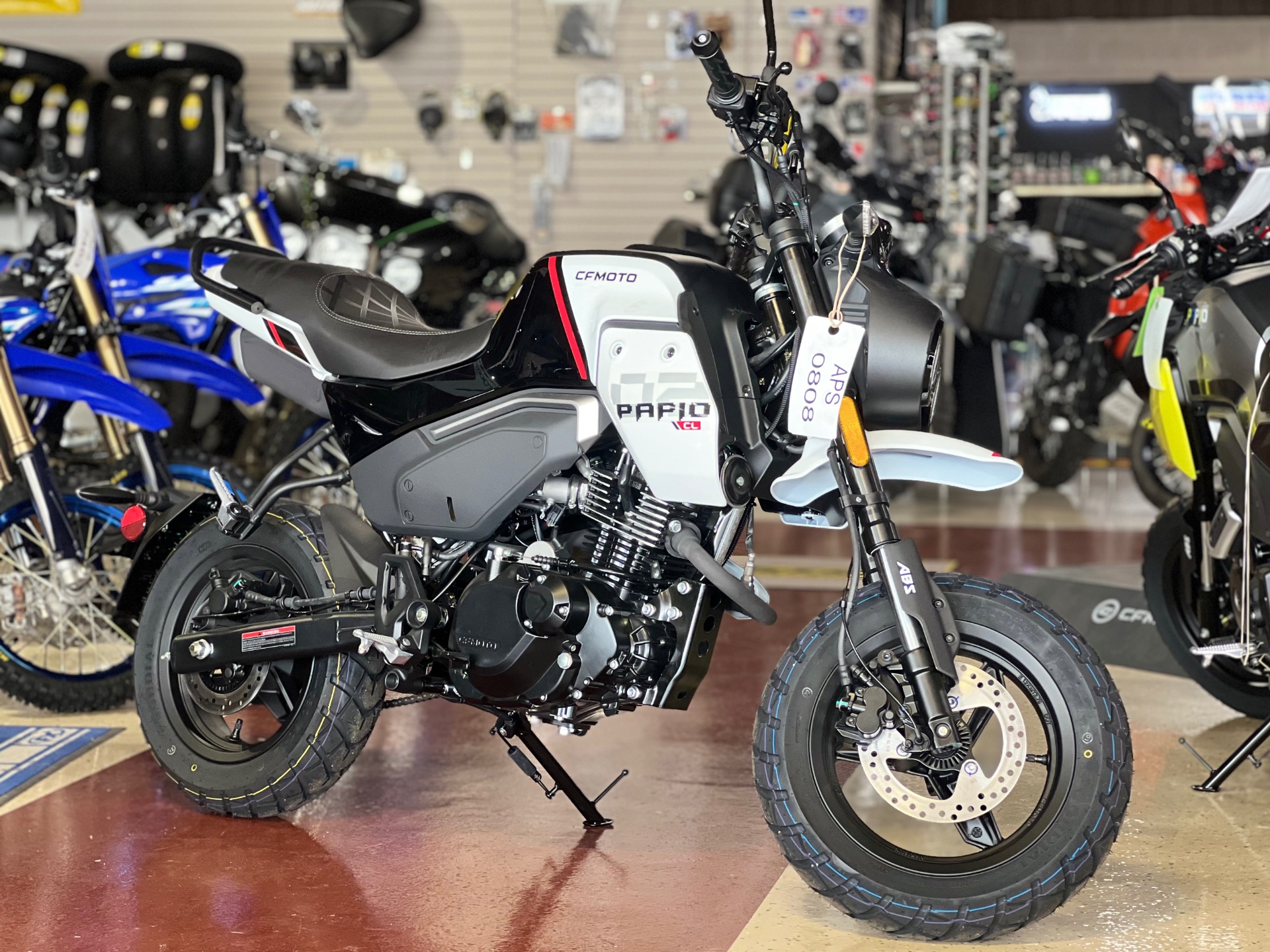 New 2024 CFMOTO Papio CL, Anderson IN | Specs, Price, Photos | Nebula ...