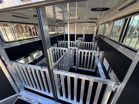 New 2026 Bar-M Adjustable Six Pen Trailer for Pigs, Goats, and Sheep by ...