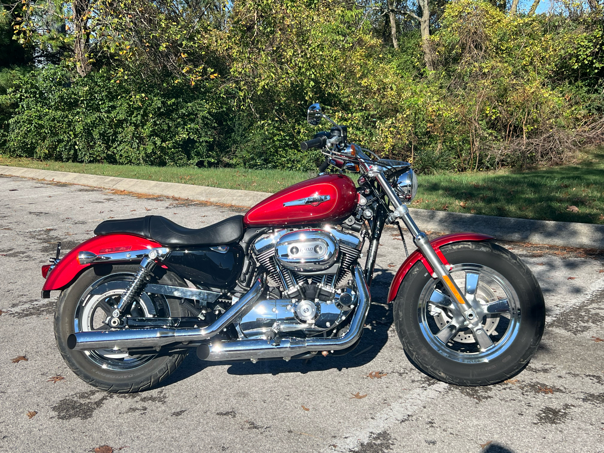 2013 sportster 1200 store