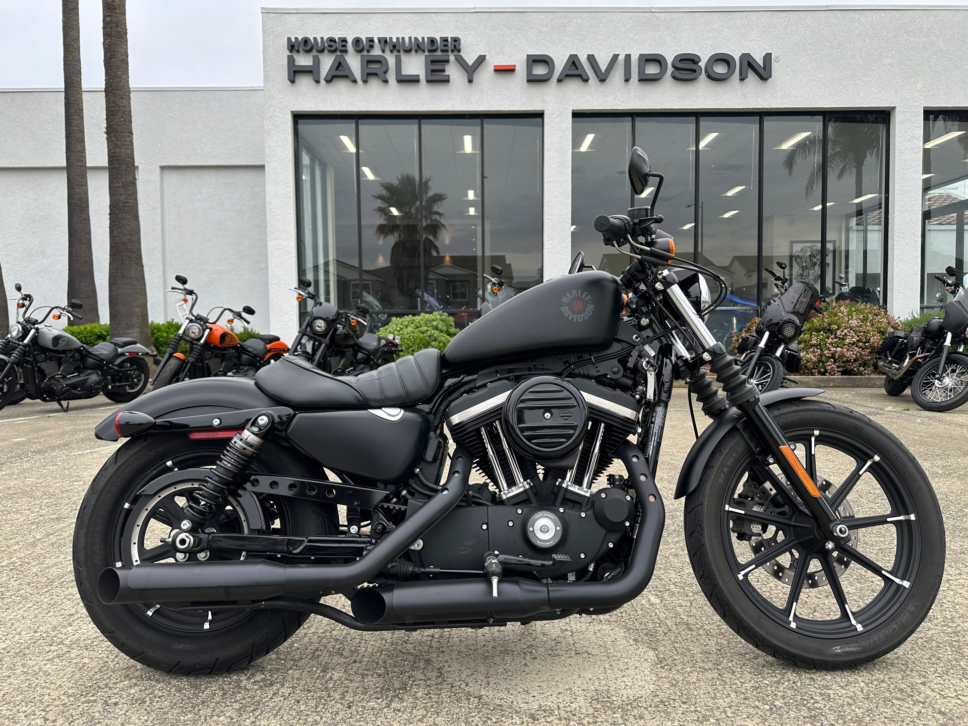 Used 2021 Harley-Davidson Sportster Iron 883 Motorcycle - Specs, Price ...