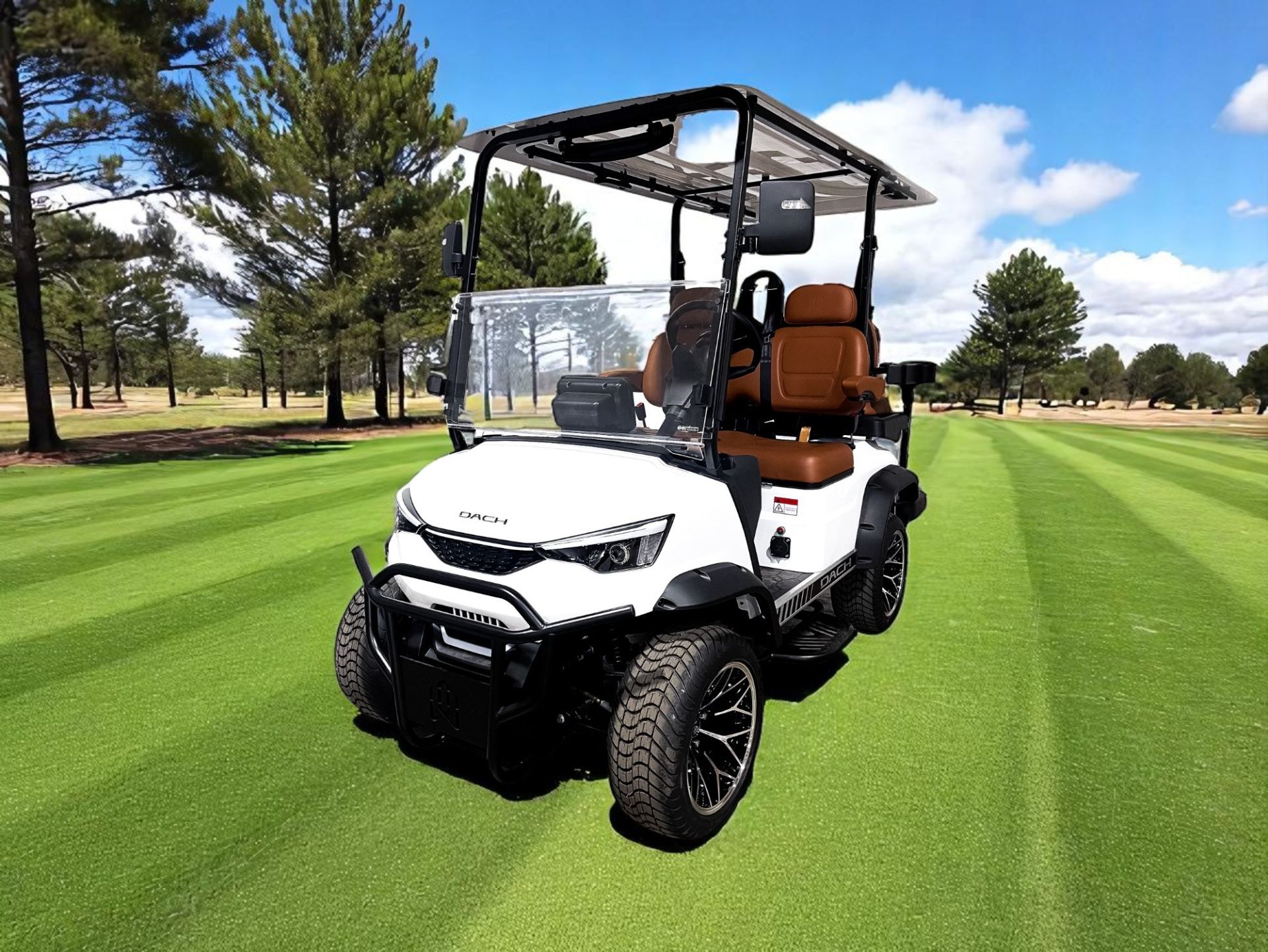 New 2025 DACH EV Falcon Explorer 2+2, Willis TX | Specs, Price, Photos ...