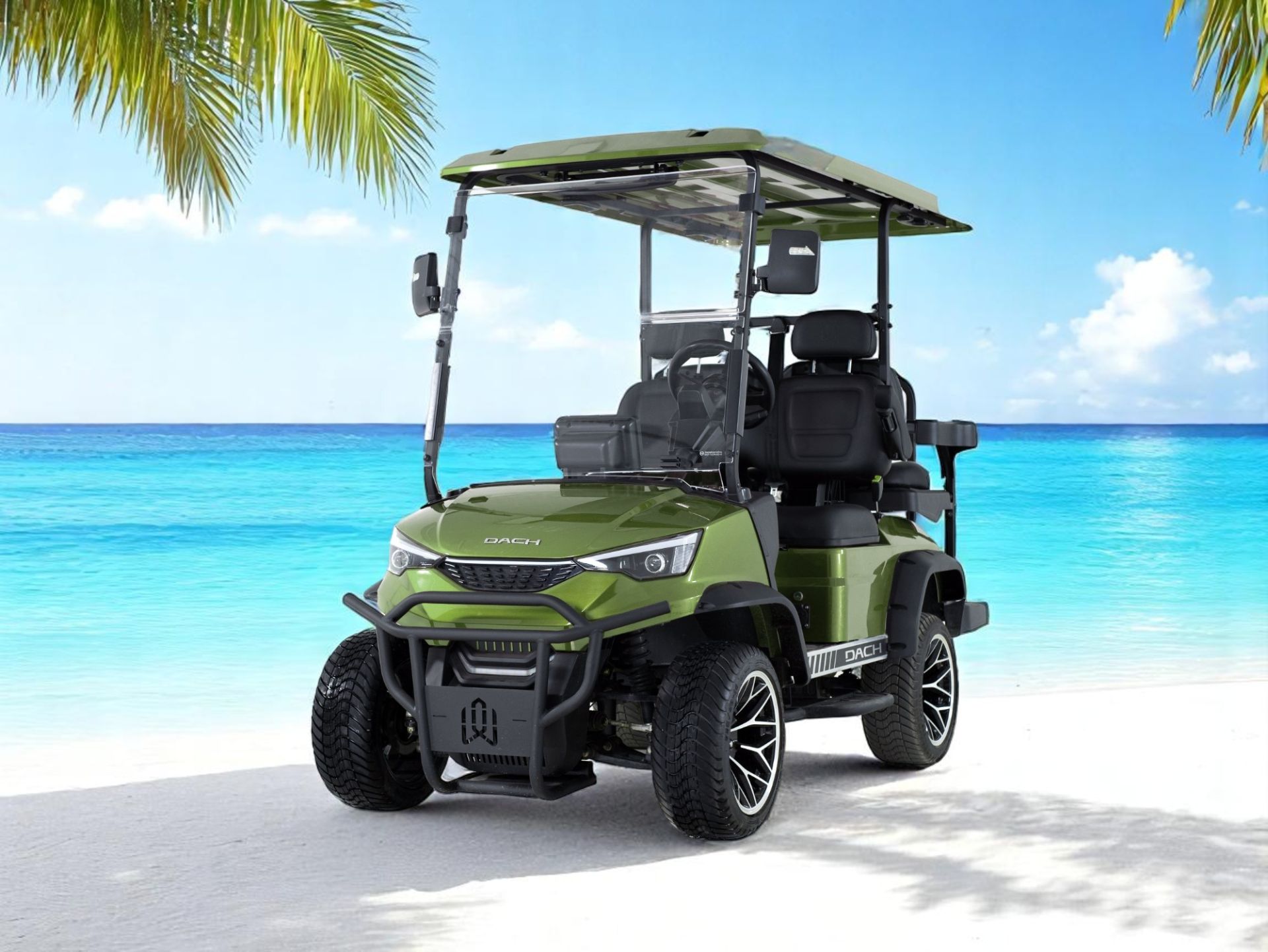 New 2025 DACH EV Falcon Explorer 2+2, Willis TX | Specs, Price, Photos ...