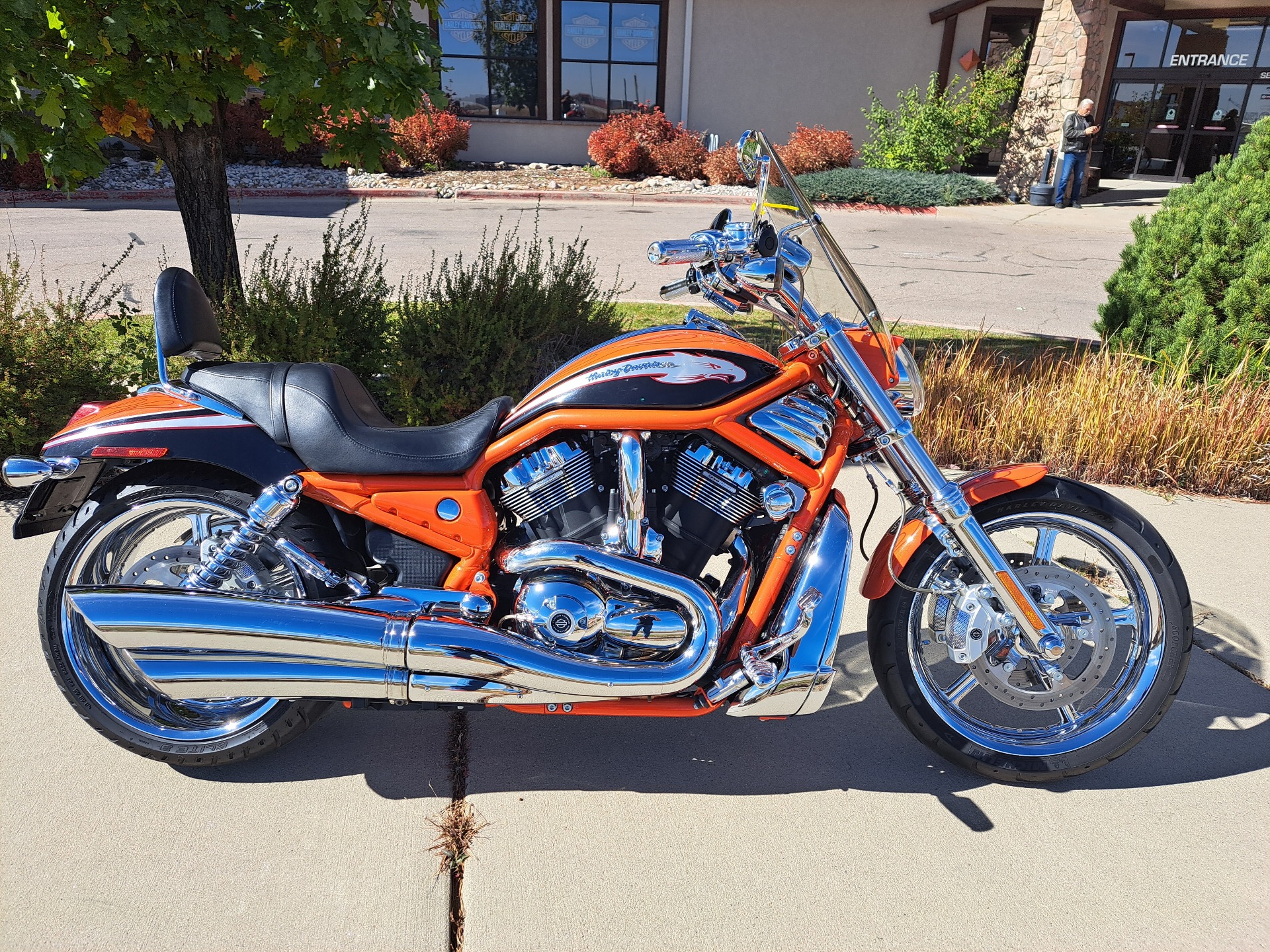 Used 2006 Harley-Davidson V-Rod® Orange Pearl | Motorcycles in Omaha NE ...