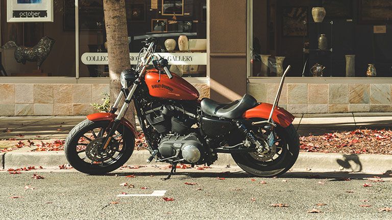 Rottweiler Motorcycle Company | Dealer in Bremerton WA
