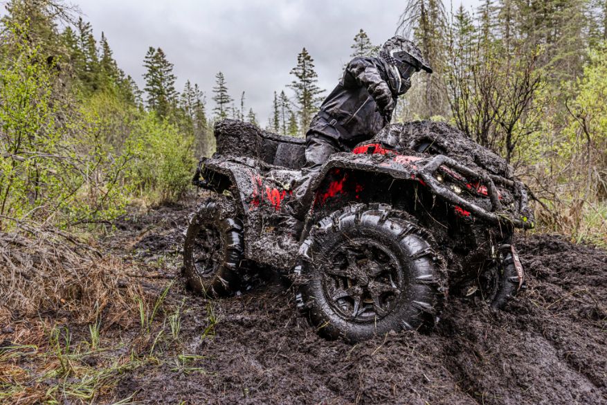 Team CC Alaska | Motorsports Vehicles for Sale in Wasilla & Eagle River
