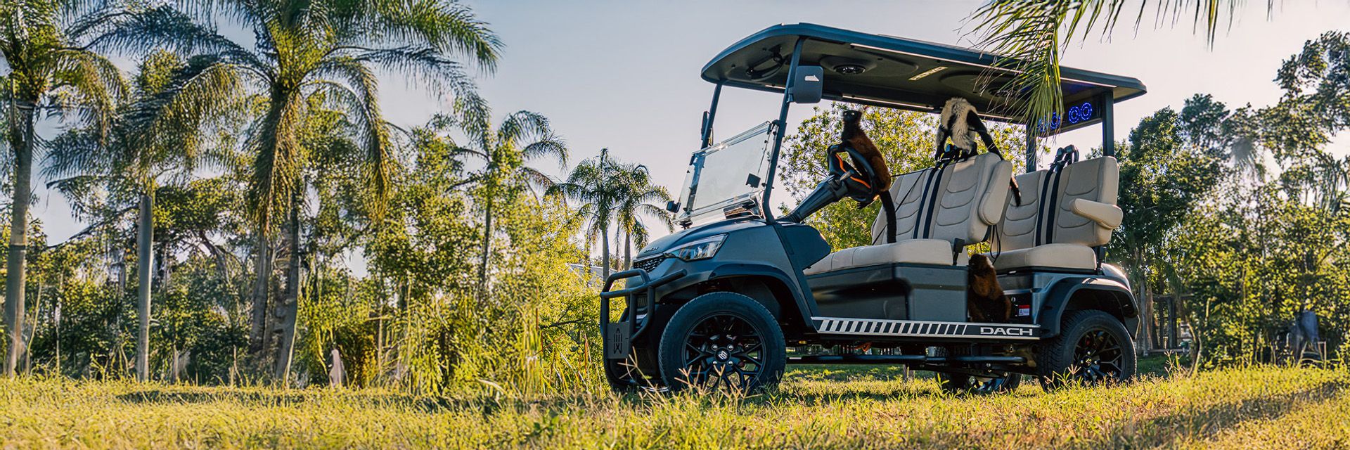 Copeland's Custom Carts | Powersports Dealer in Knoxville TN