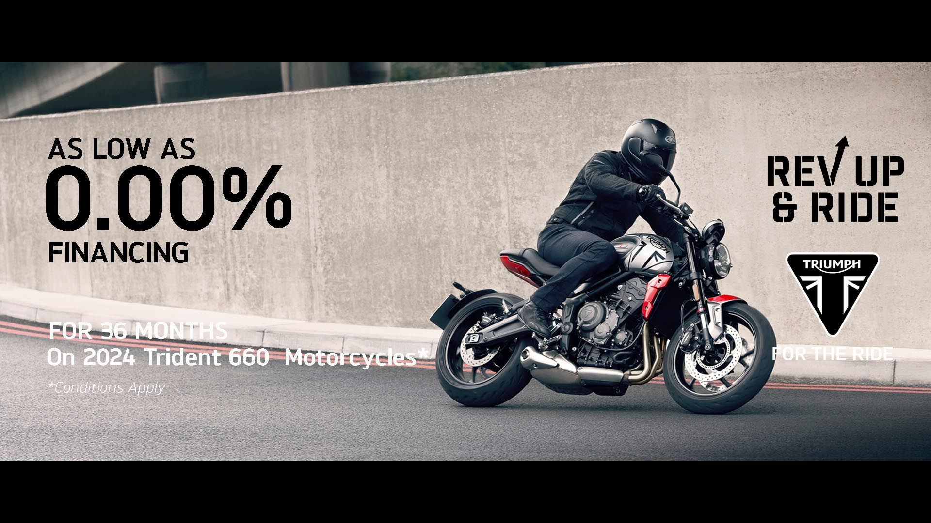 Charleston Triumph, North Ridge Custom Cycles: SC Motorcycles