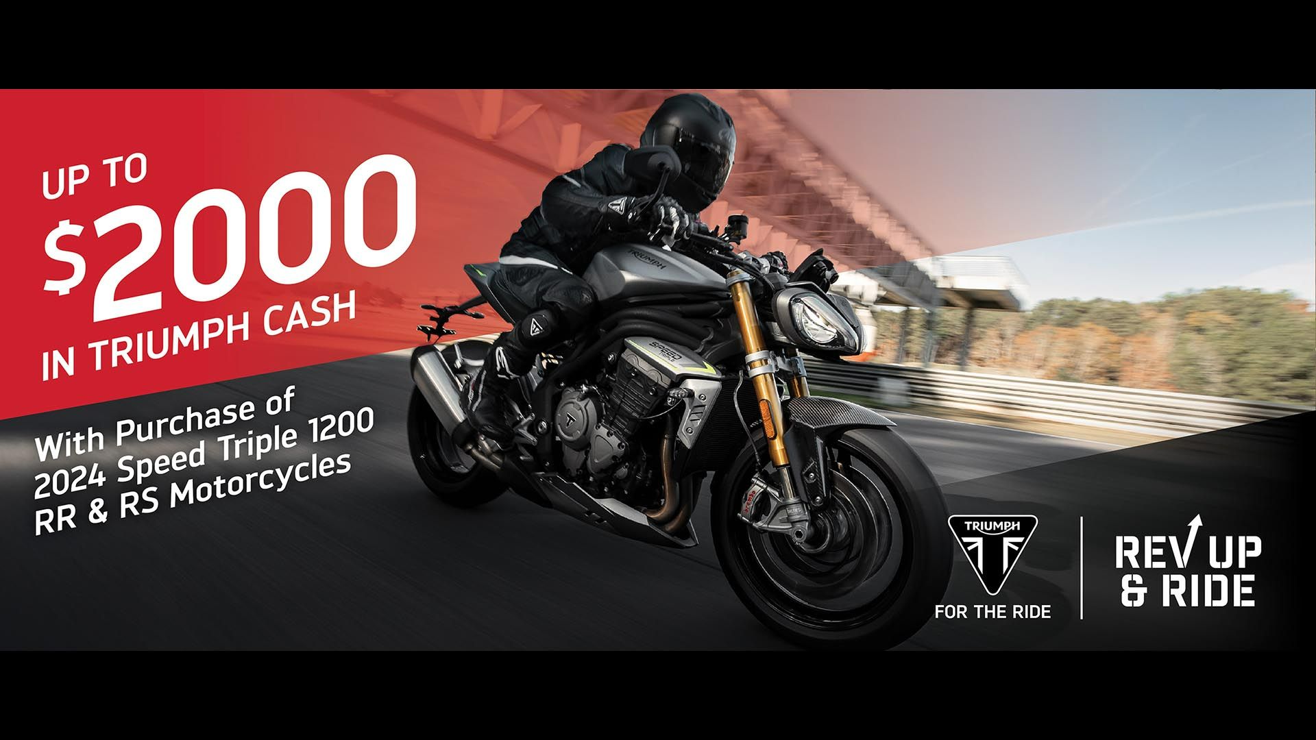 Motorcycles for Sale | Triumph, Indian & More | New & Used Inventory ...
