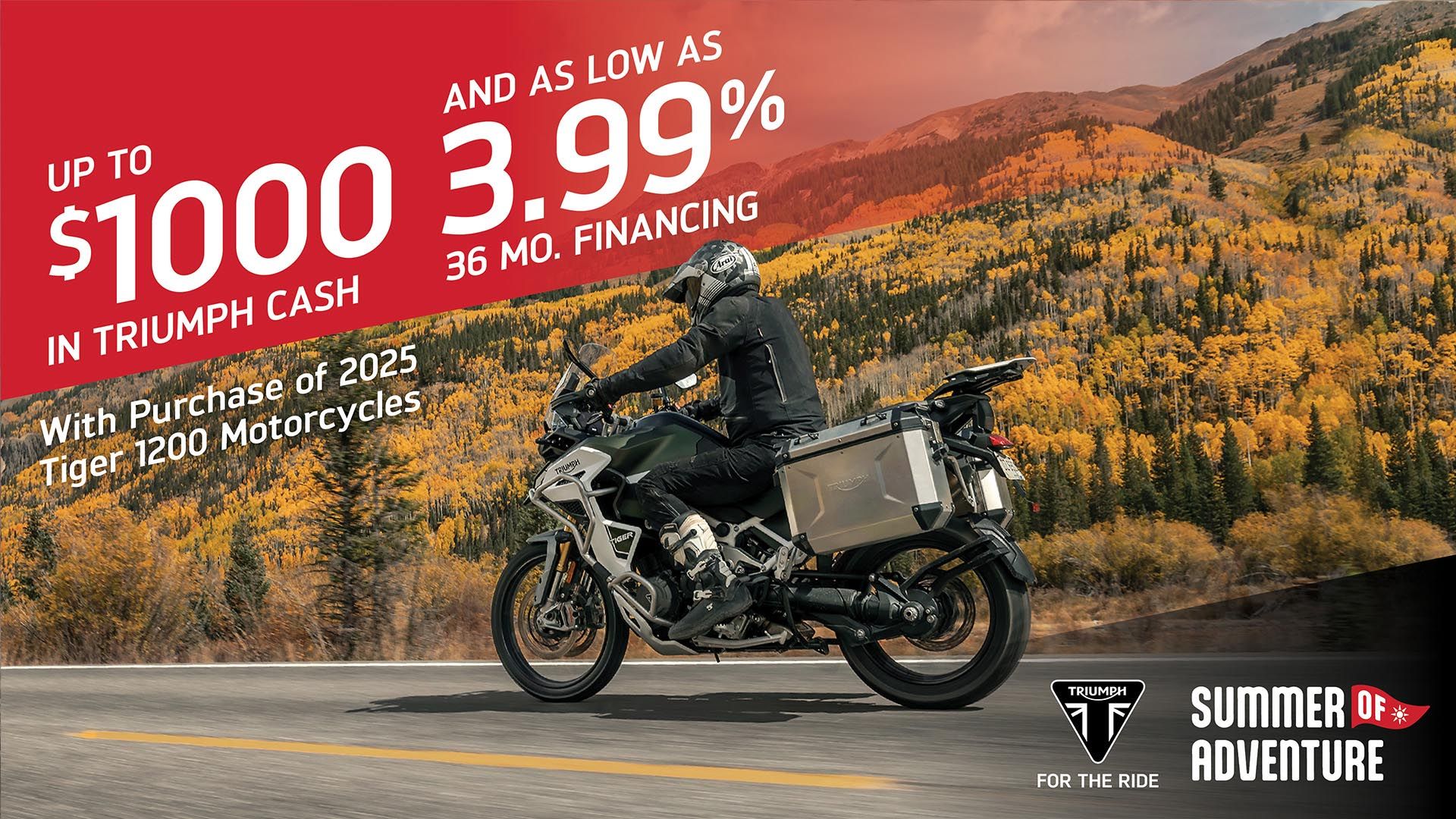 Charleston Triumph, North Ridge Custom Cycles: SC Motorcycles