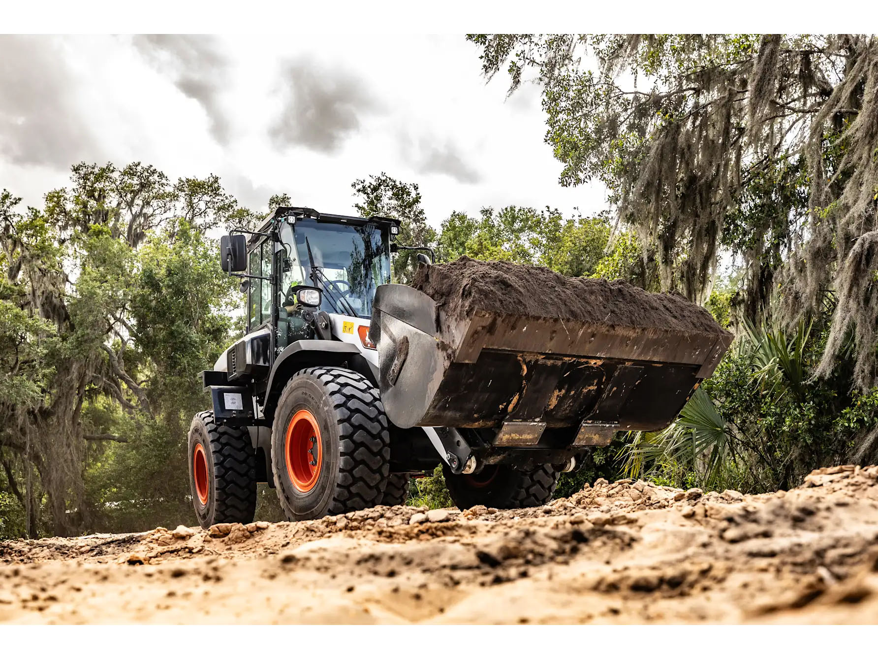 New 2025 Bobcat L255, Greenfield MA | Specs, Price, Photos | White