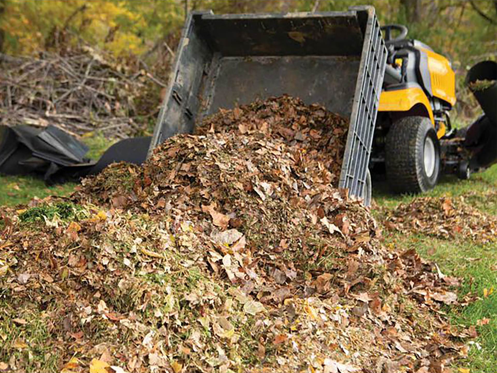 New Cub Cadet Leaf Collector For 50 and 54 in. Decks, Knoxville TN ...