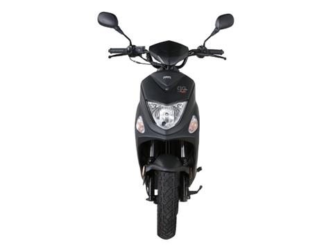 New 2024 Chicago Scooter Company Go 50 Max Scooters in Evansville, IN ...