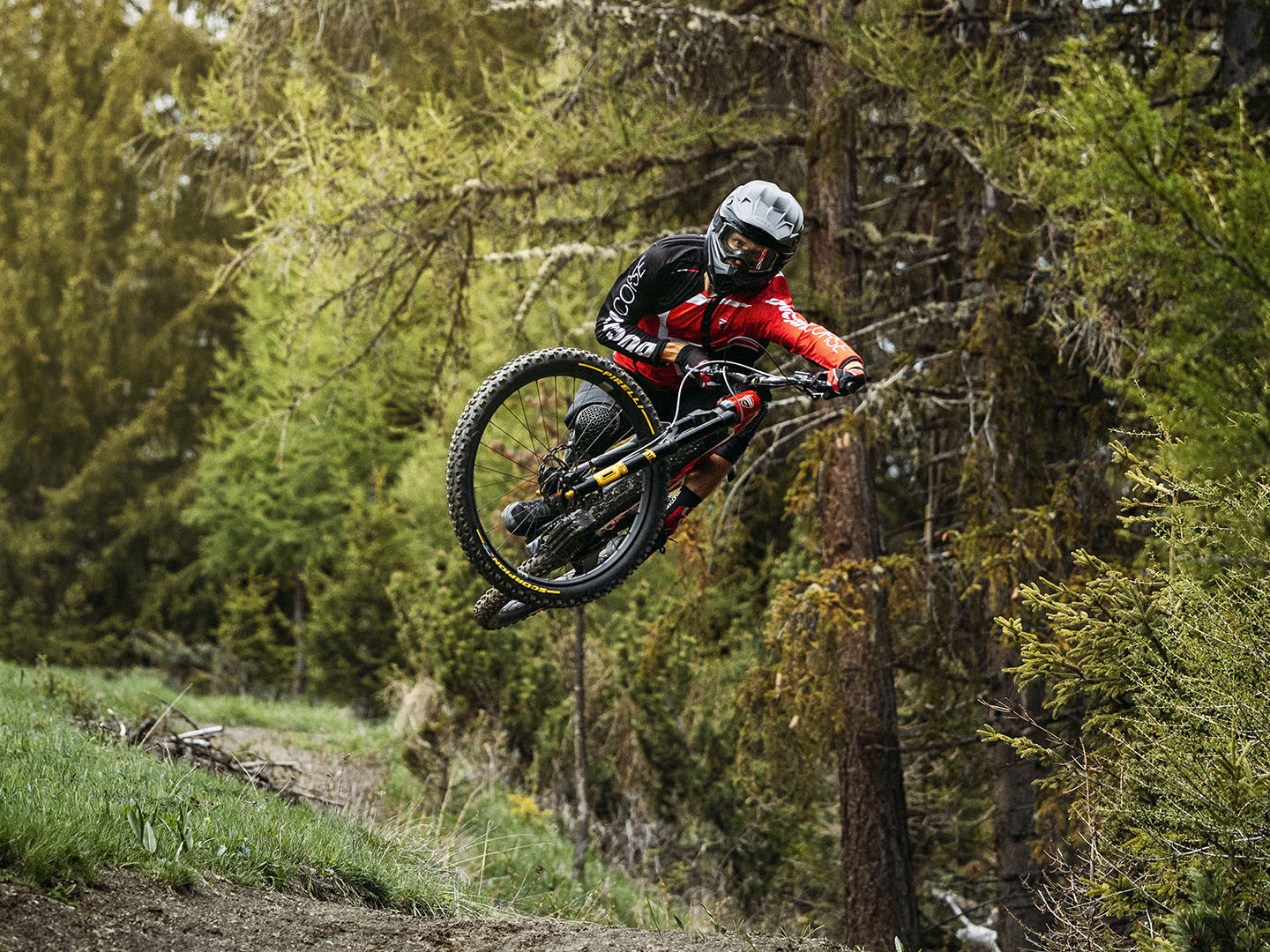 Compare Models: 2025 Ducati Powerstage RR - M vs 2025 Ducati Powerstage ...