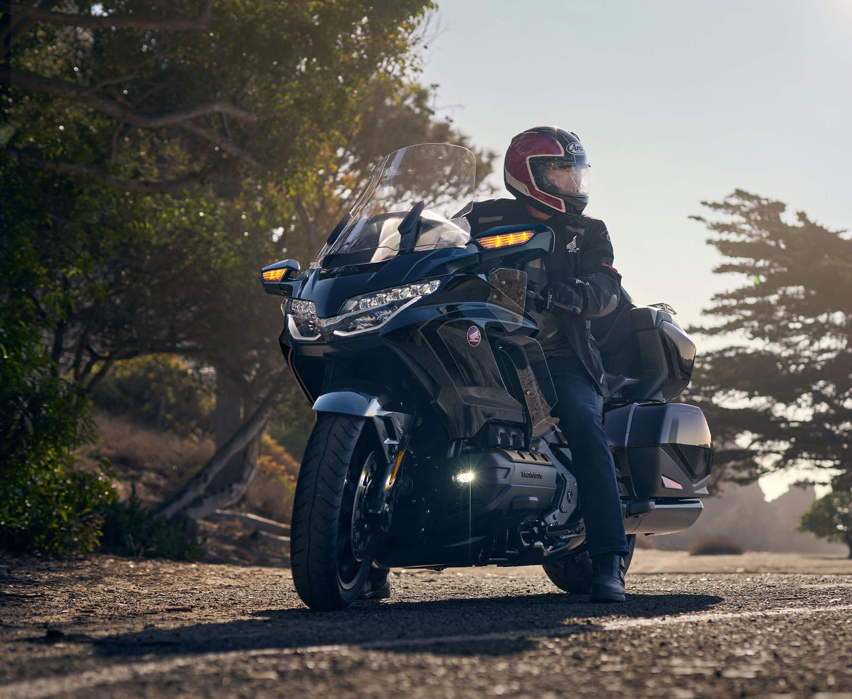 New 2026 Honda Gold Wing Tour, Enterprise OR | Specs, Price, Photos ...
