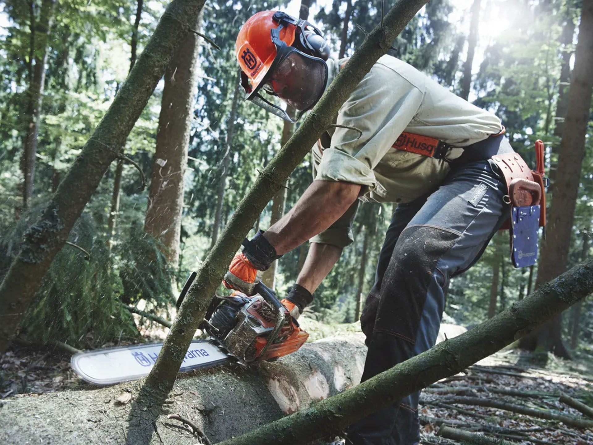 Husqvarna 562xp cc store