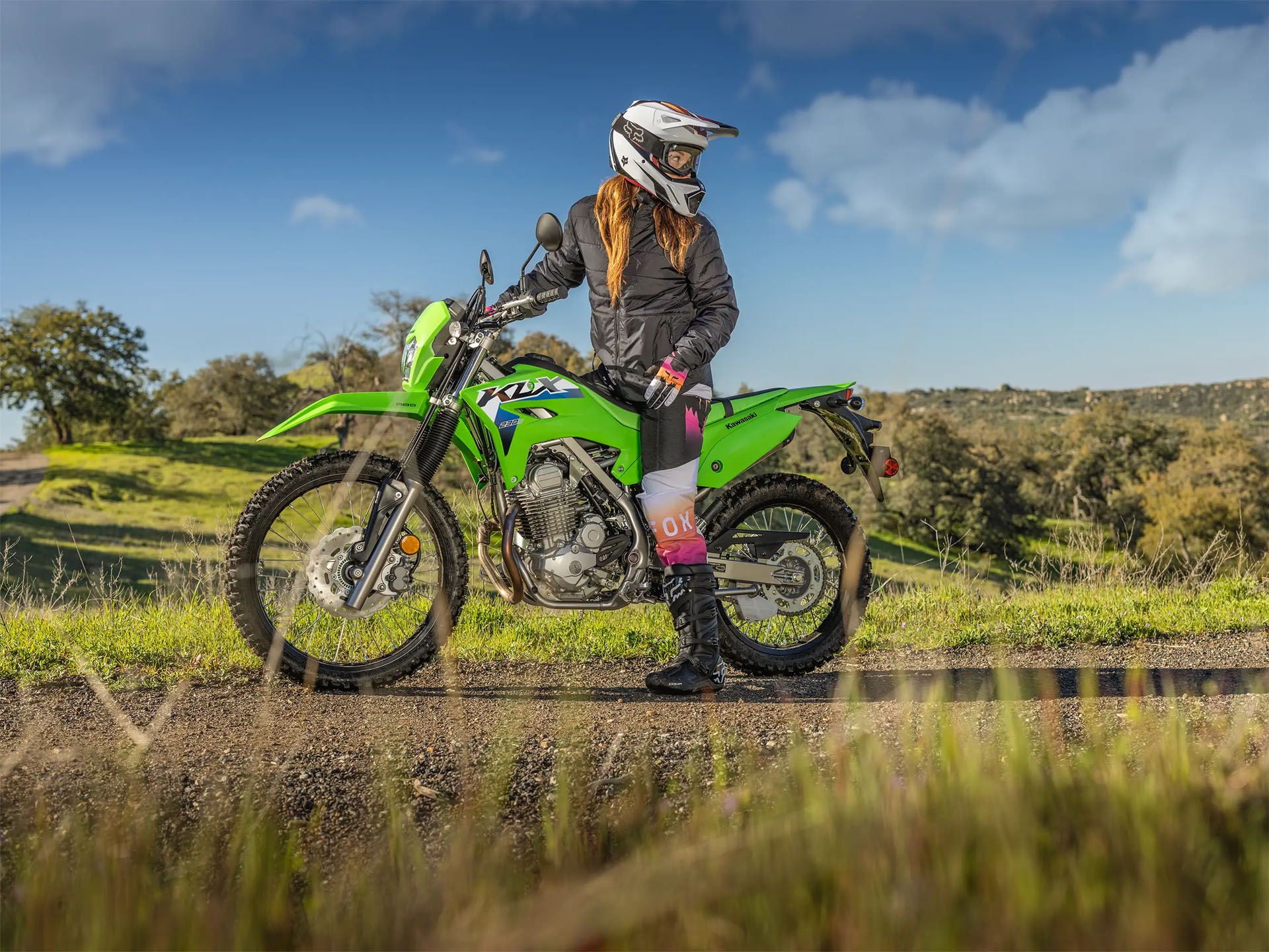 New 2026 Kawasaki KLX®230 S ABS Bright White Motorcycles For Sale in ...