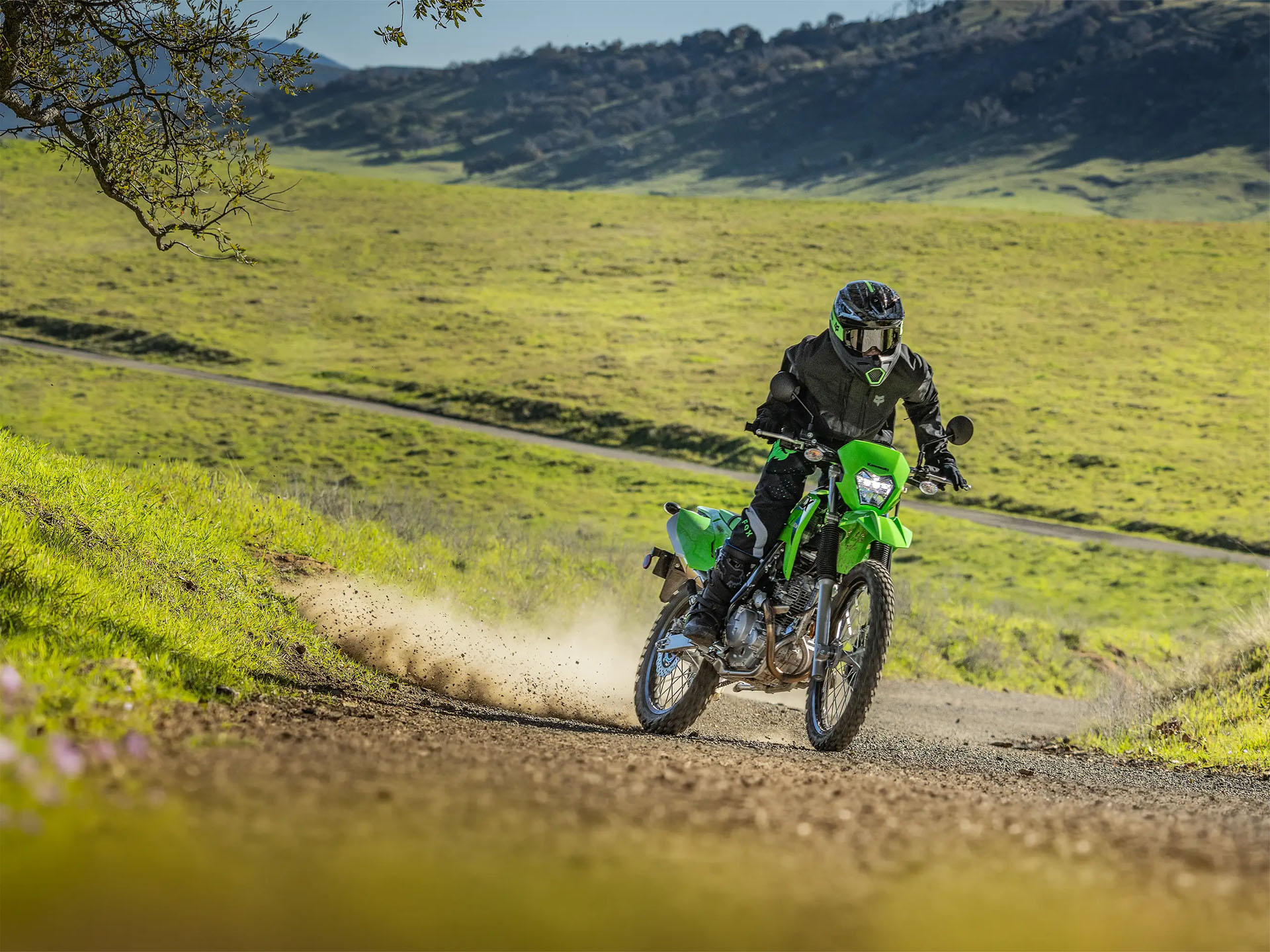 New 2026 Kawasaki KLX 230 S ABS Motorcycles in Evansville, IN | Stock ...