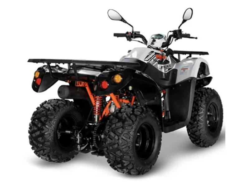 New 2023 Kayo Bull 200, North Tonawanda NY | Specs, Price, Photos ...