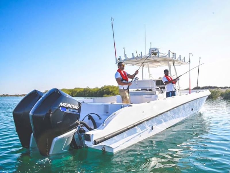 Compare Models | Mercury Marine SeaPro 250hp 30 in. DTS Counter ...