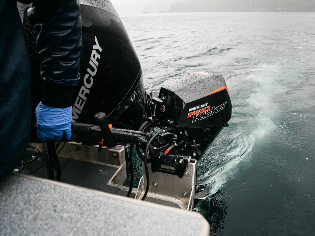 Mercury Marine FourStroke ProKicker 15hp EFI 20 in. Tiller, Roscoe IL ...