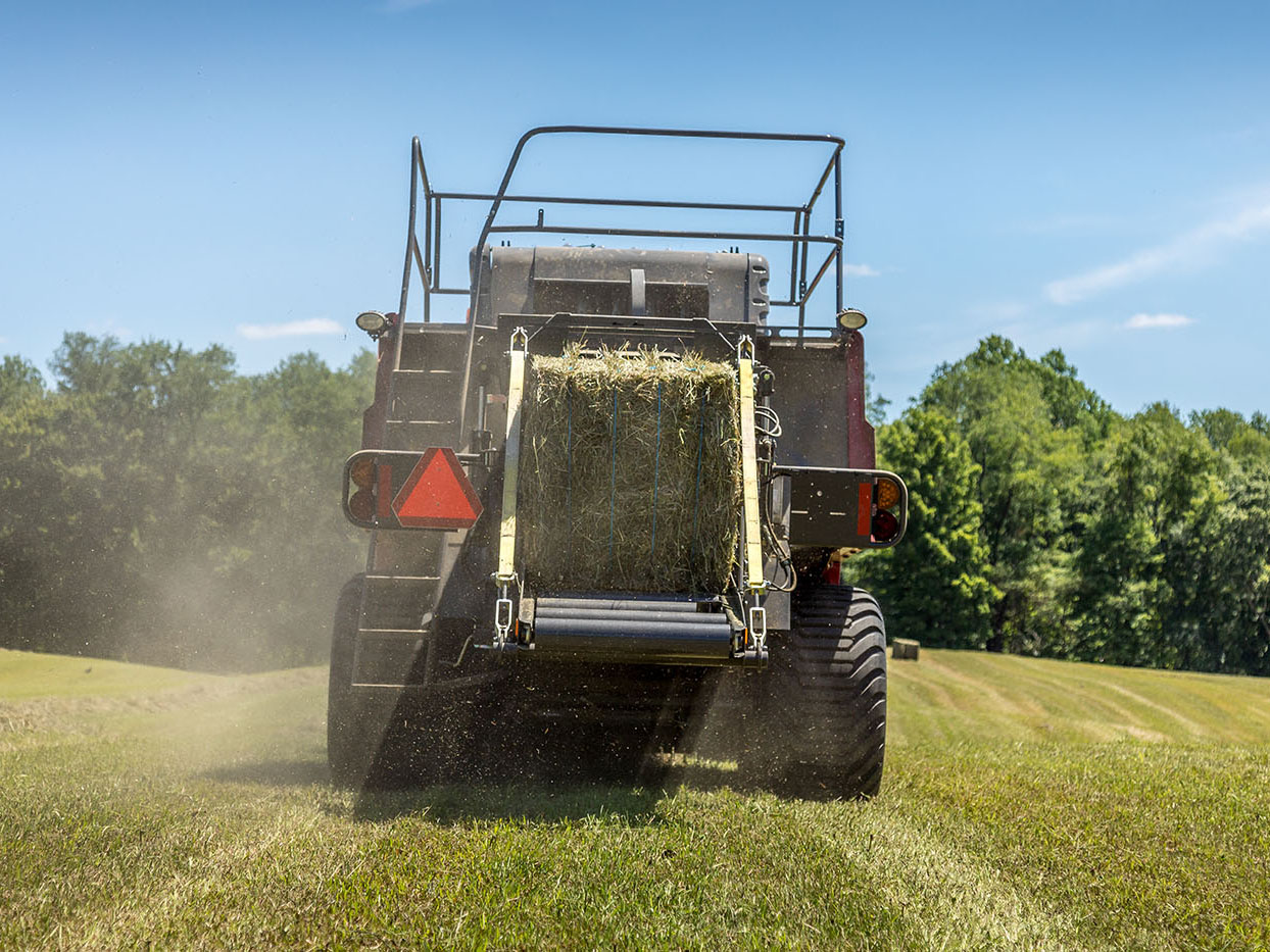 New Massey Ferguson LB2244, Martinsville IN | Specs, Price, Photos | Red