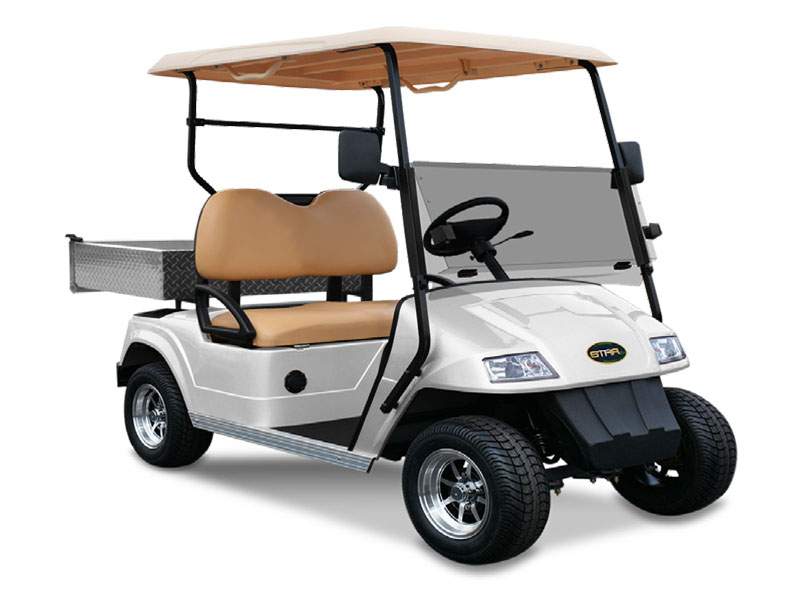 New 2025 Star EV Classic 36-2H Utility Vehicles in Binghamton, NY ...