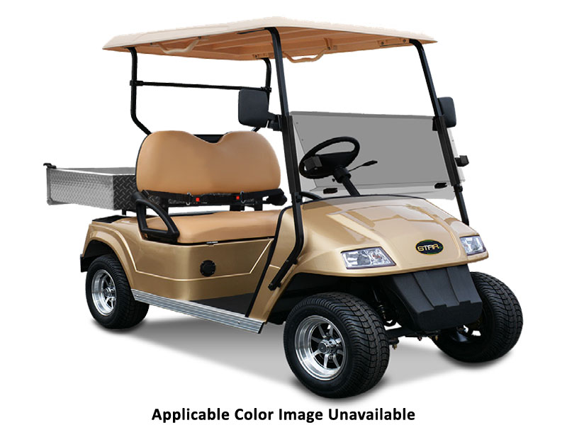 New 2025 Star EV Classic 48-2H-XP Utility Vehicles in Binghamton, NY ...