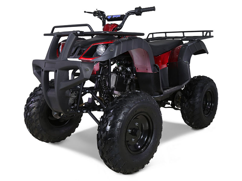 New 2025 Tao Motor Bull 150 | ATVs in Virginia Beach VA | Red
