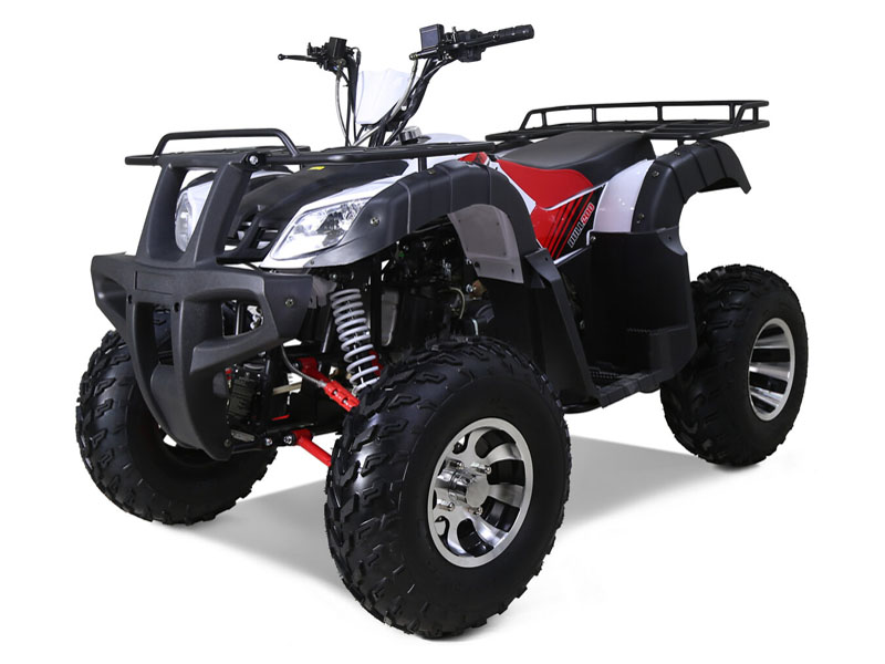New 2025 Tao Motor Bull 200S | ATVs in Largo FL | Red