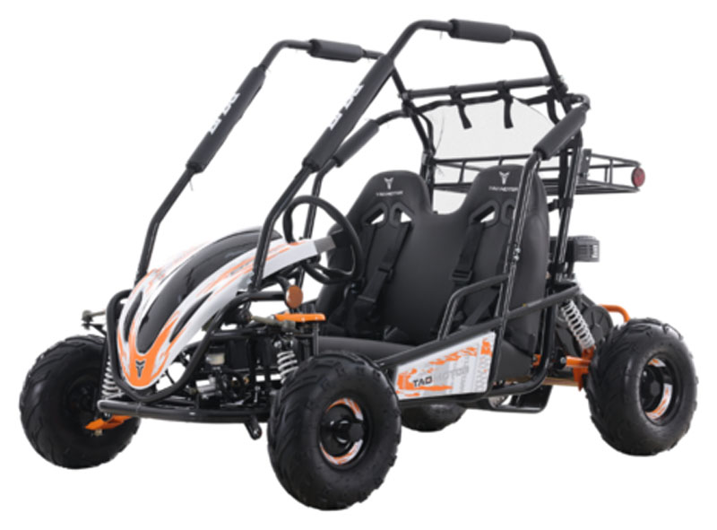New 2025 Tao Motor Baja Sprinter 200 Go-Karts in Howell, MI